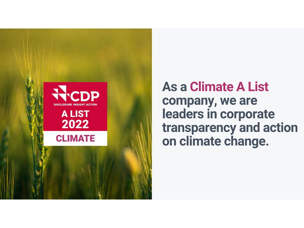 Schindler erhält erstmals Bestnote von Umweltorganisation CDP | News ...